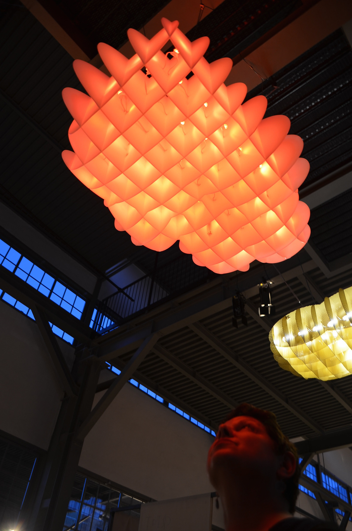 mcdermott baxter - ICE