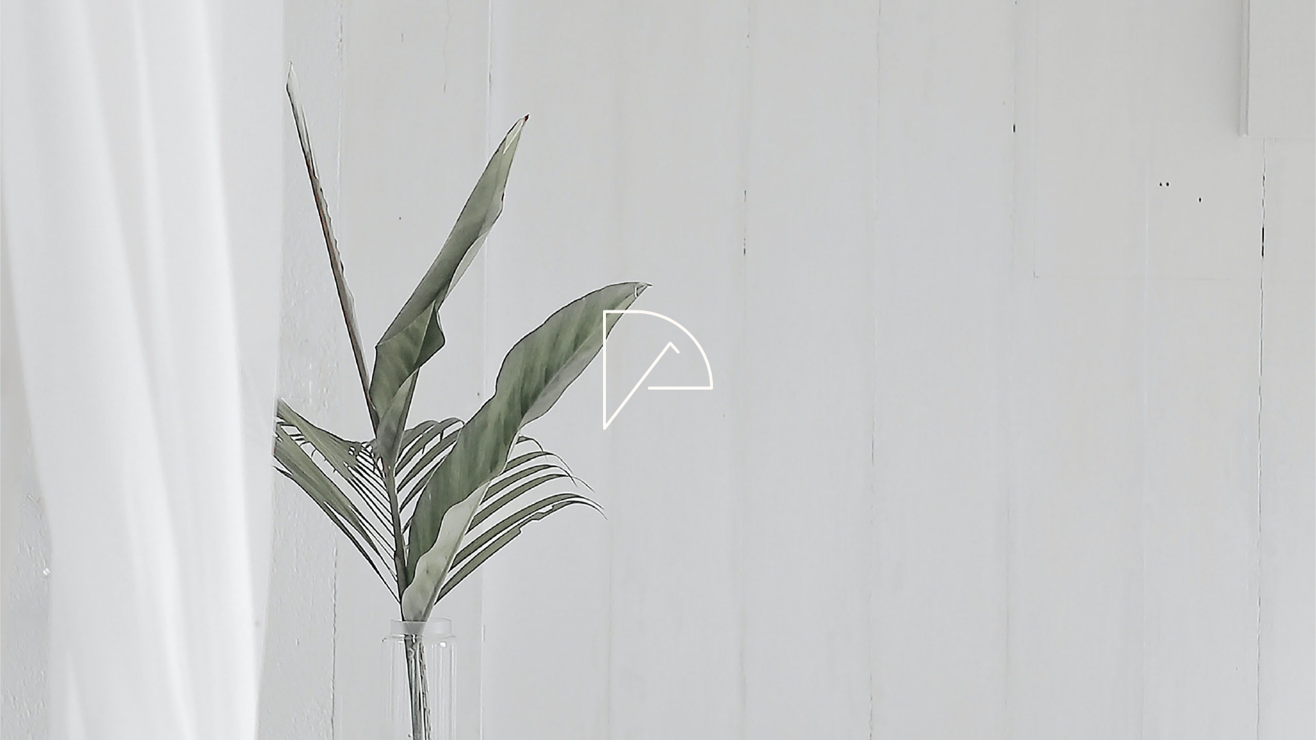 Cacau - AMANDA PERILLO - ARQUITETURA