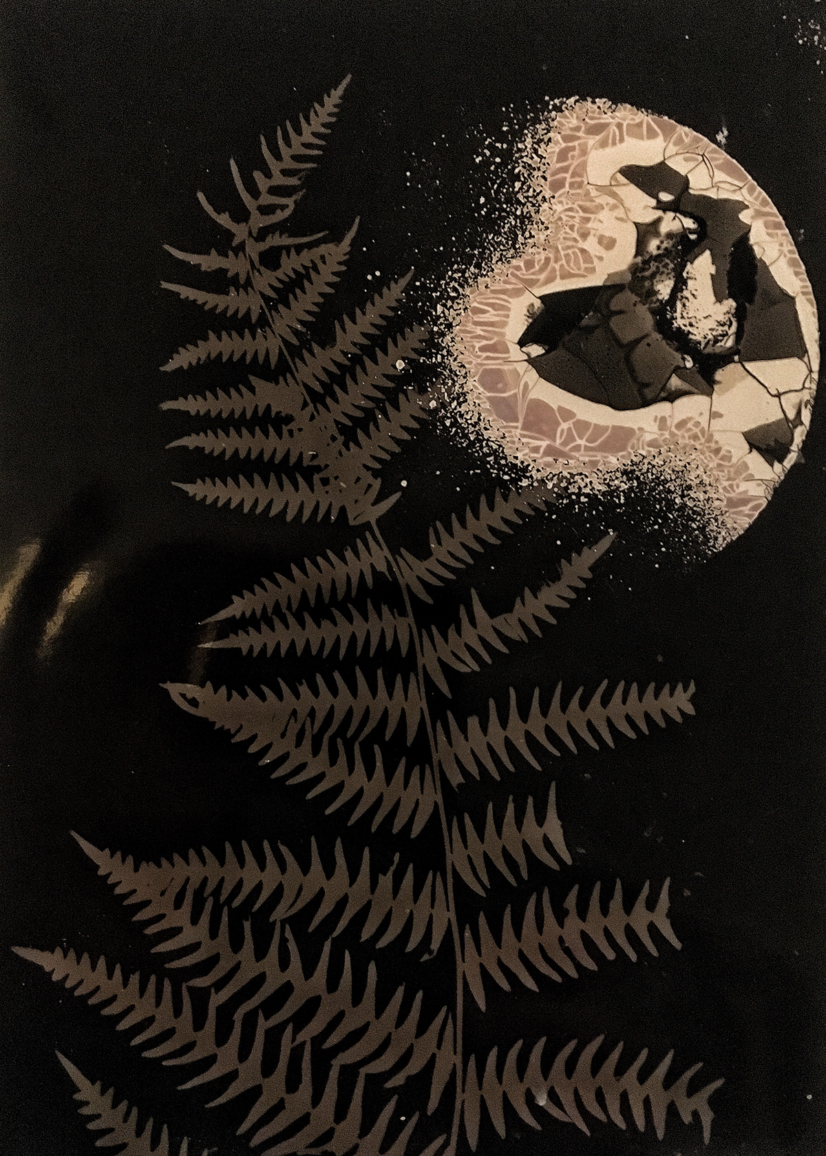 Ted Fox Joyce - New Moons