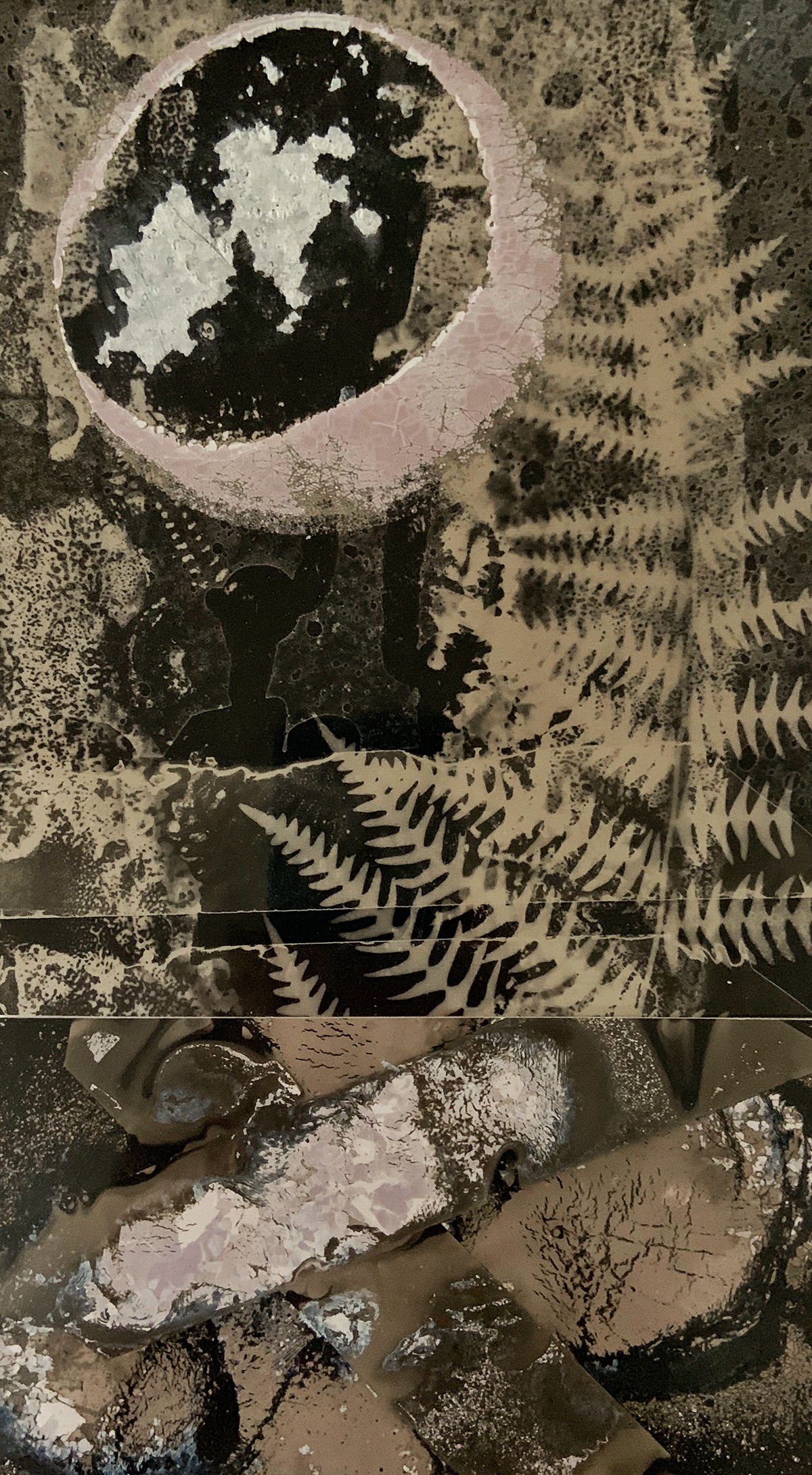 Ted Fox Joyce - New Moons