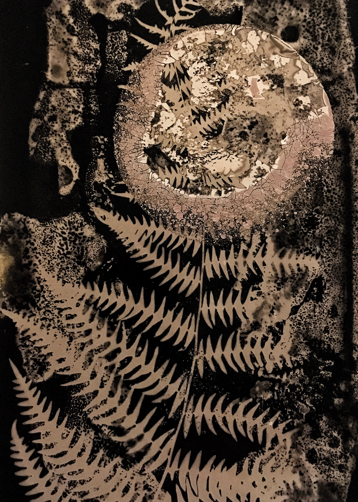 Ted Fox Joyce - New Moons