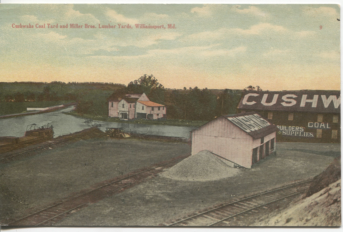 Williamsport Area Historical Association - Postcards - Williamsport