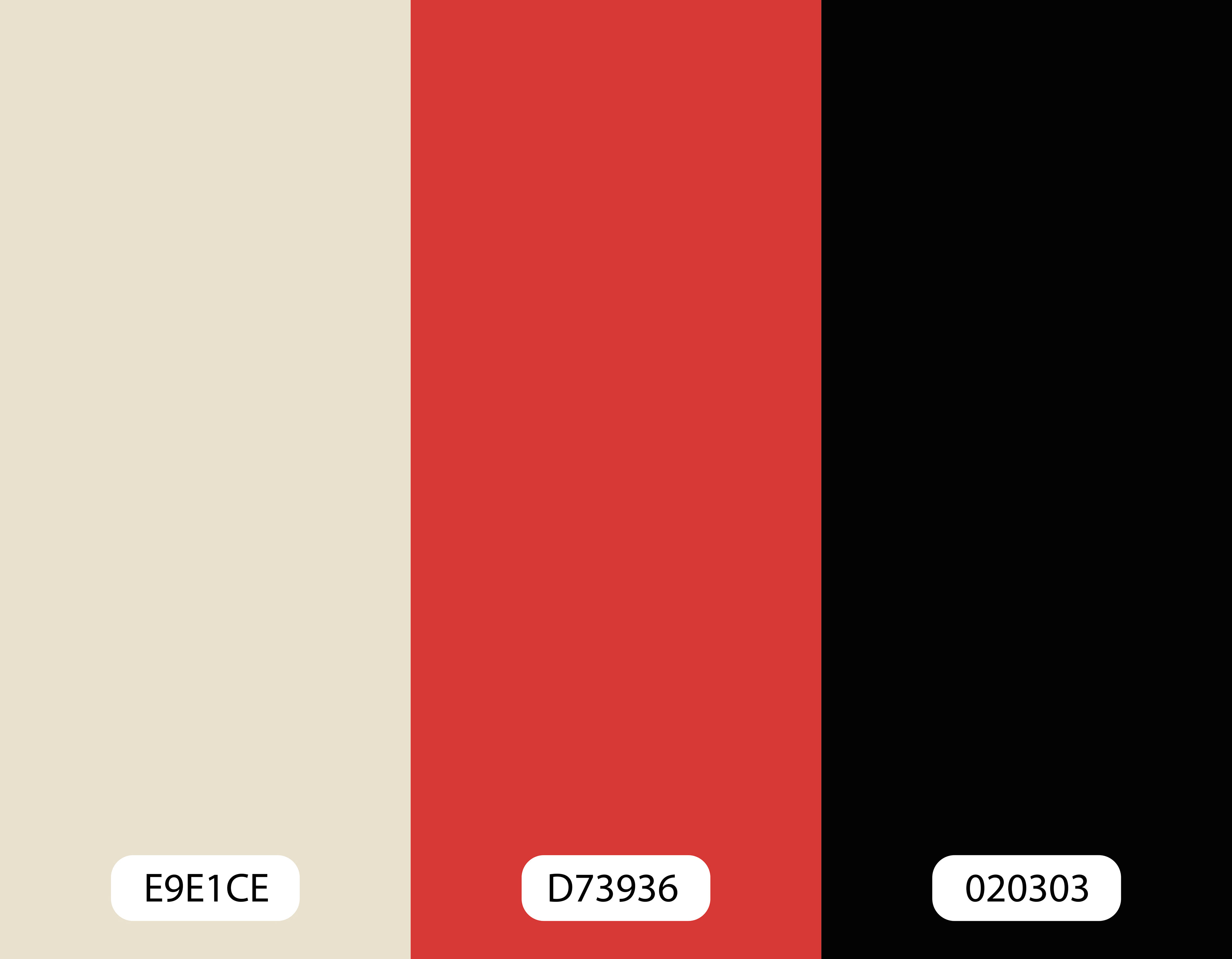 canan isik - Branding for Ichi Go