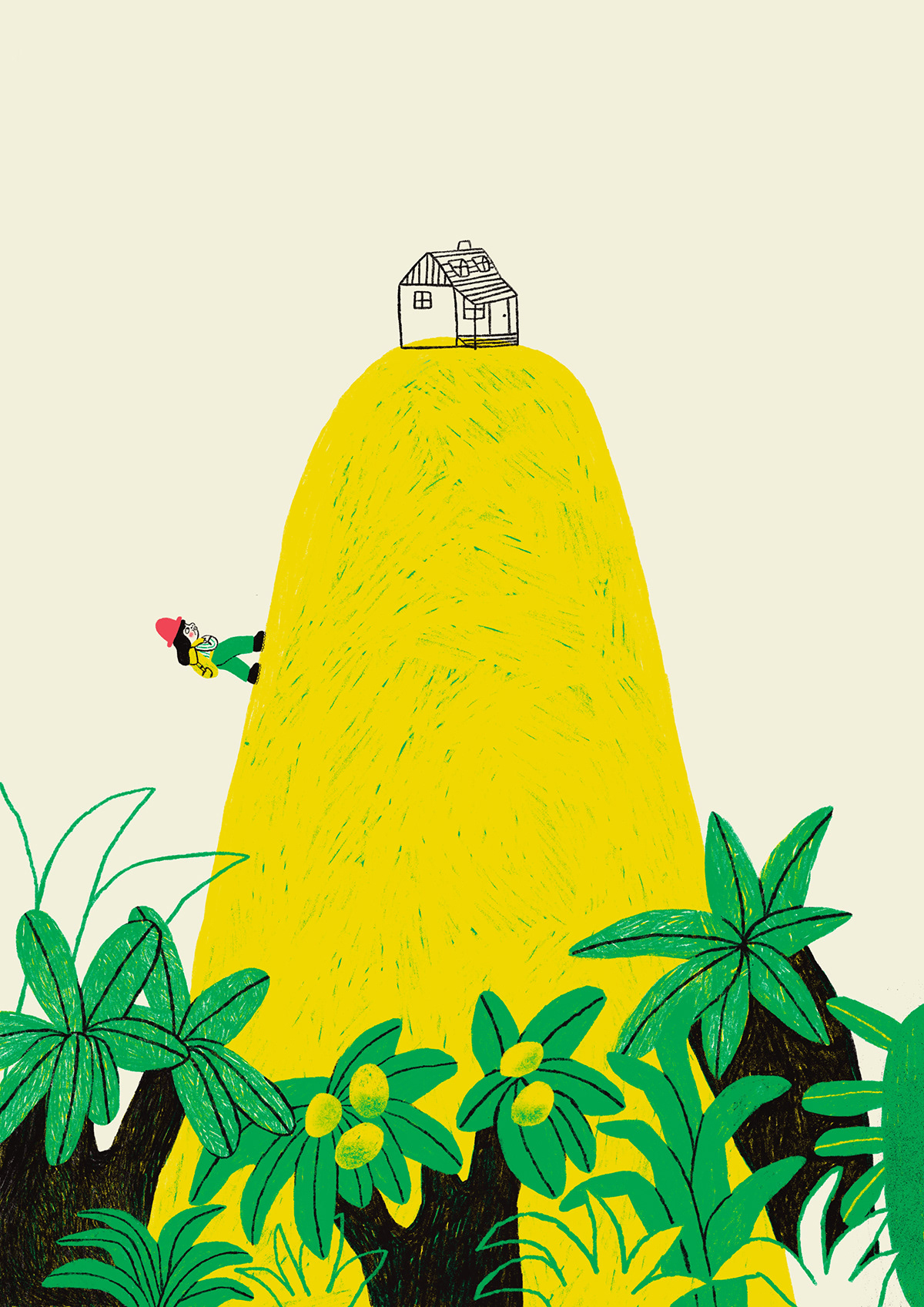 Lisa Loffredo Illustrations