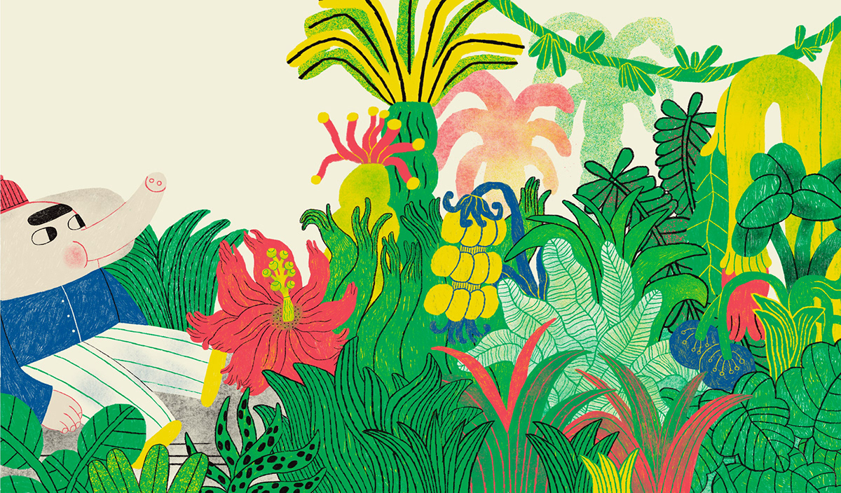 Lisa Loffredo Illustrations