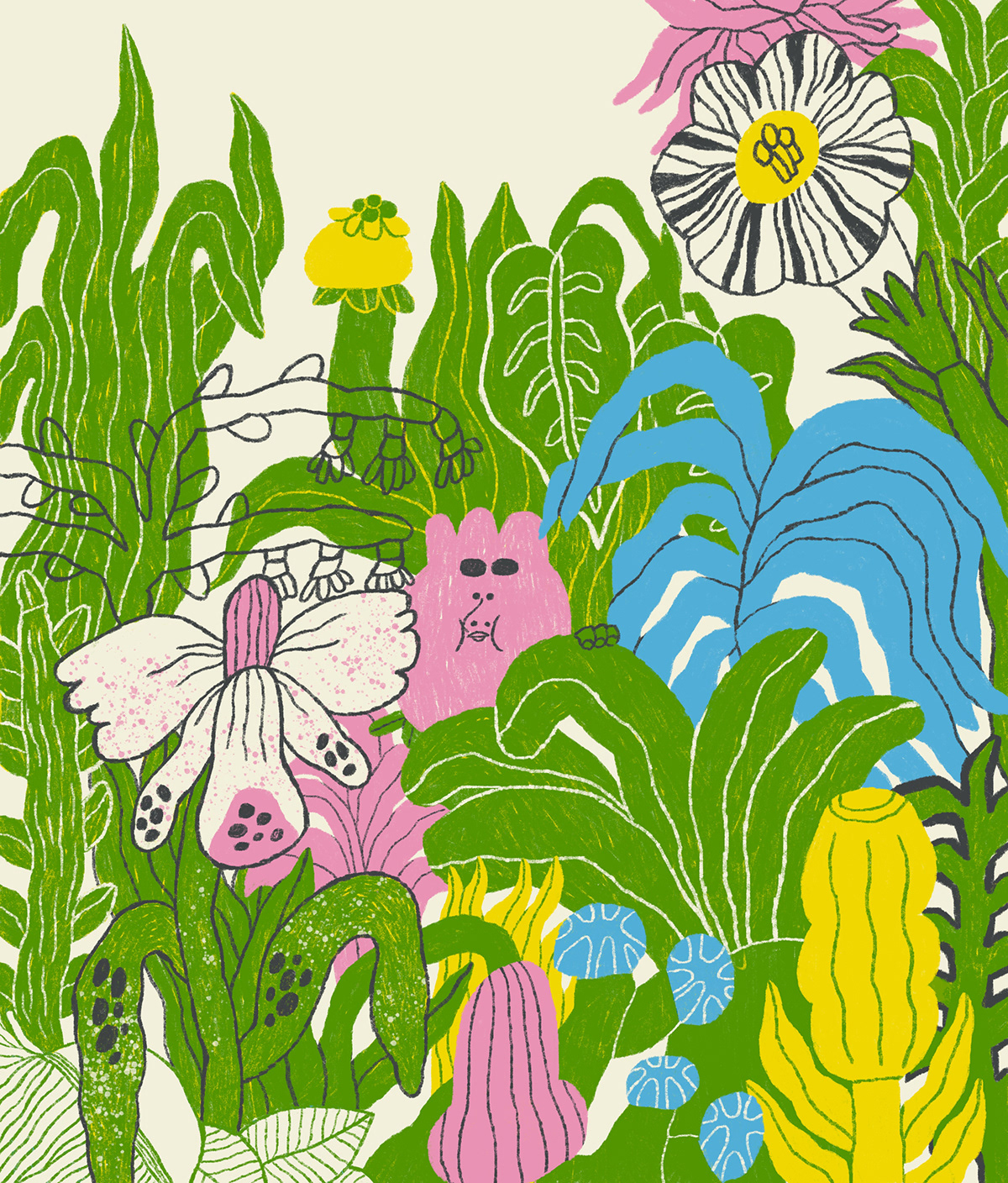 Lisa Loffredo Illustrations