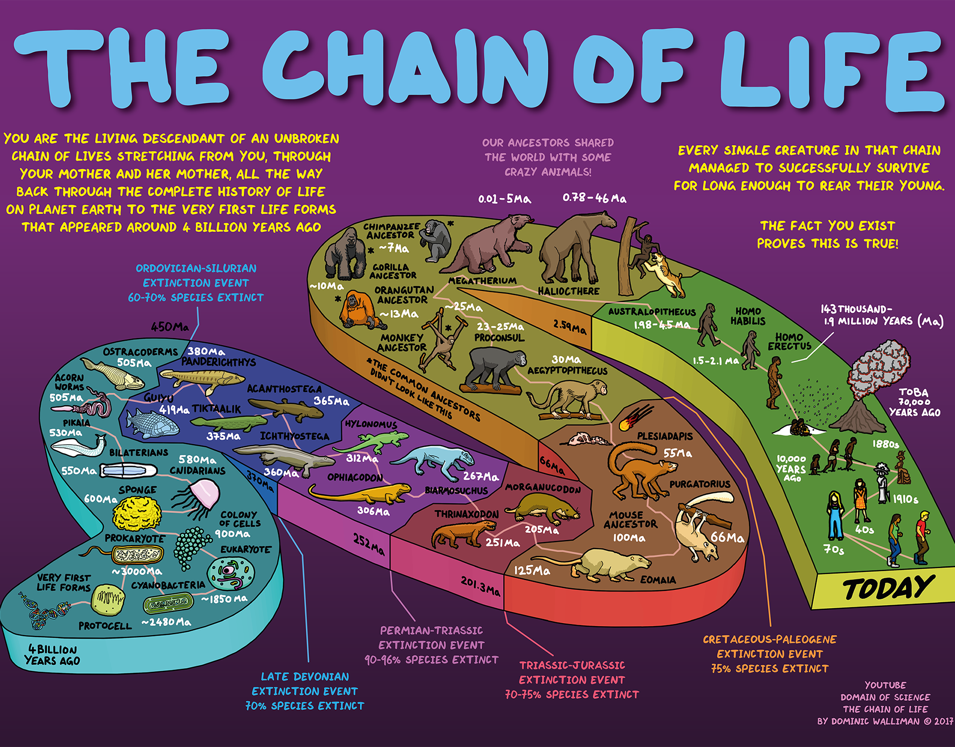 Domain of Science