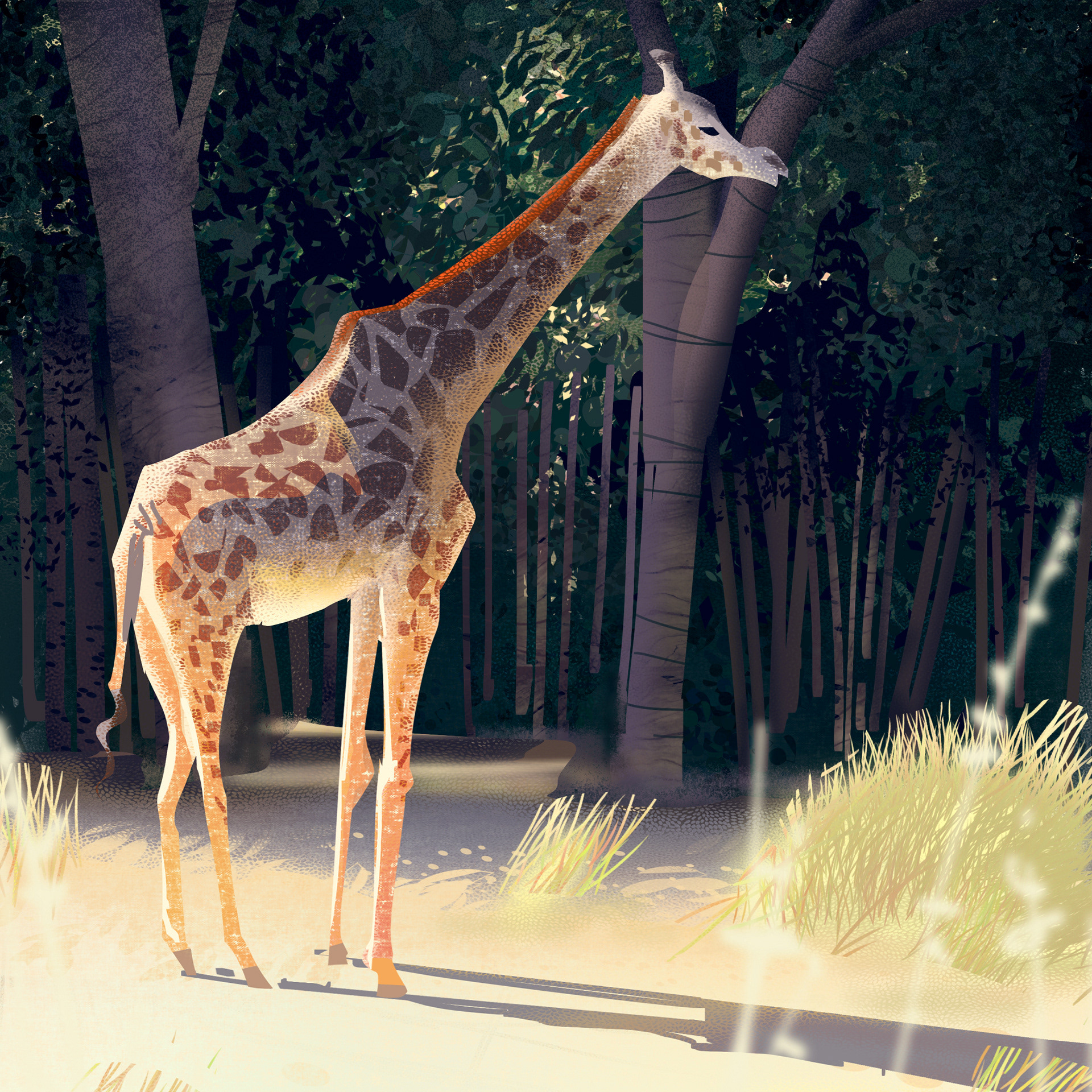 April Apodaca Portfolio - Background Design