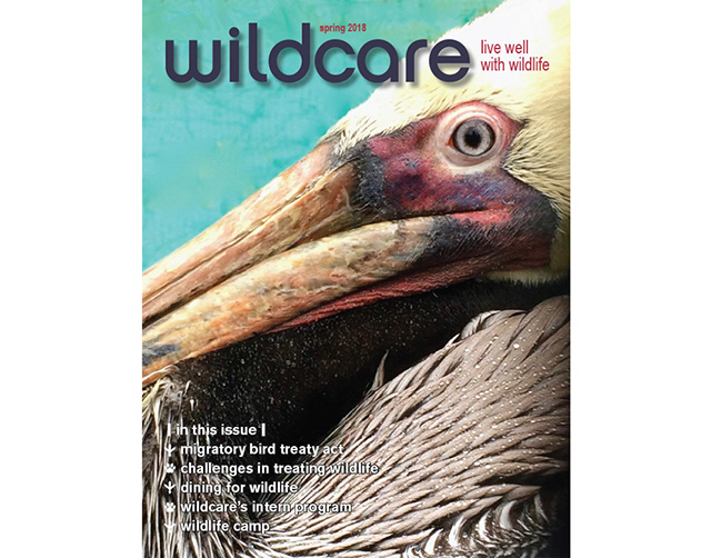 Click Creative - ALDF - the Animal Legal Defense Fund