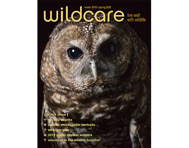 Click Creative - ALDF - the Animal Legal Defense Fund