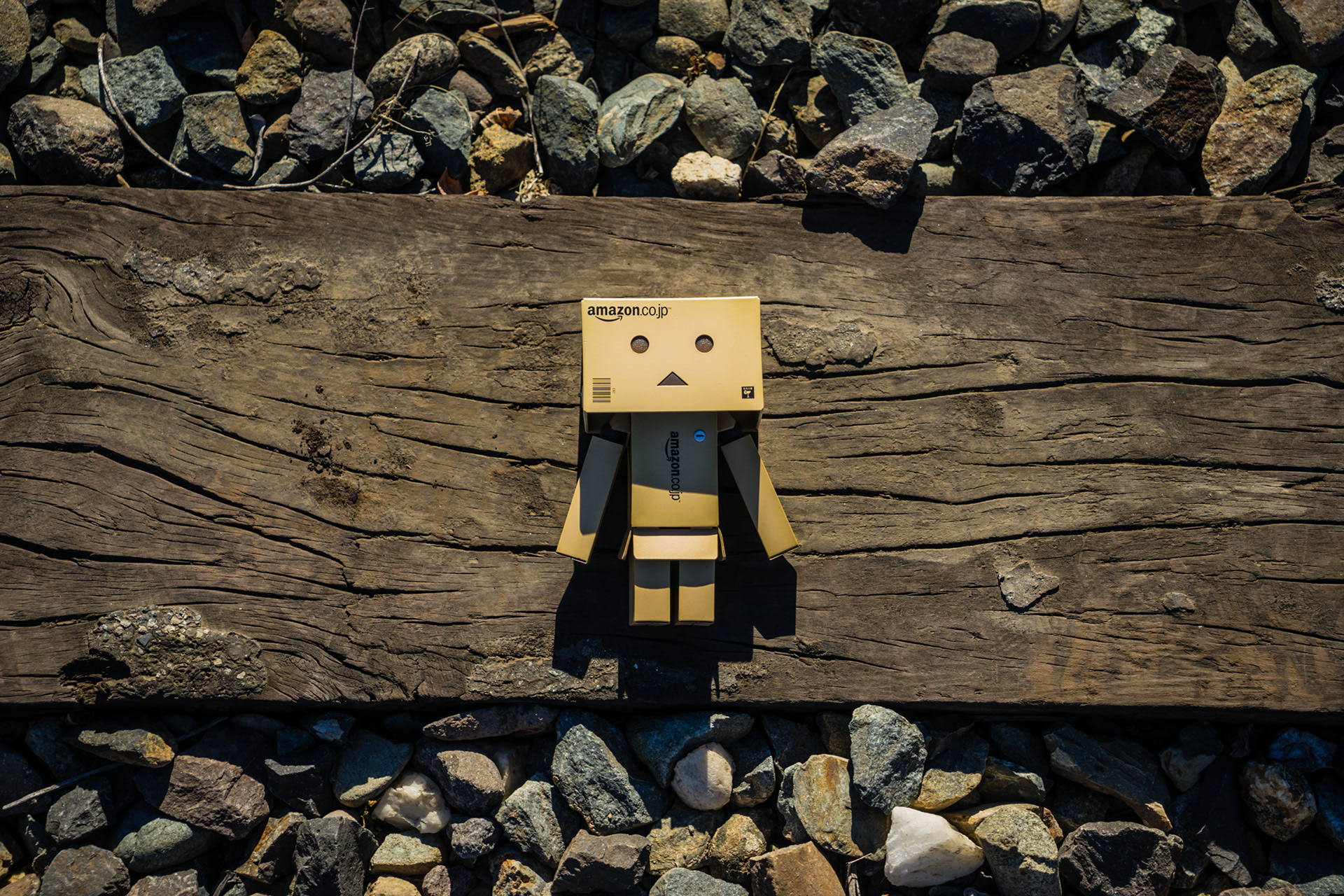 Anthony Ng | Photography - Danboard