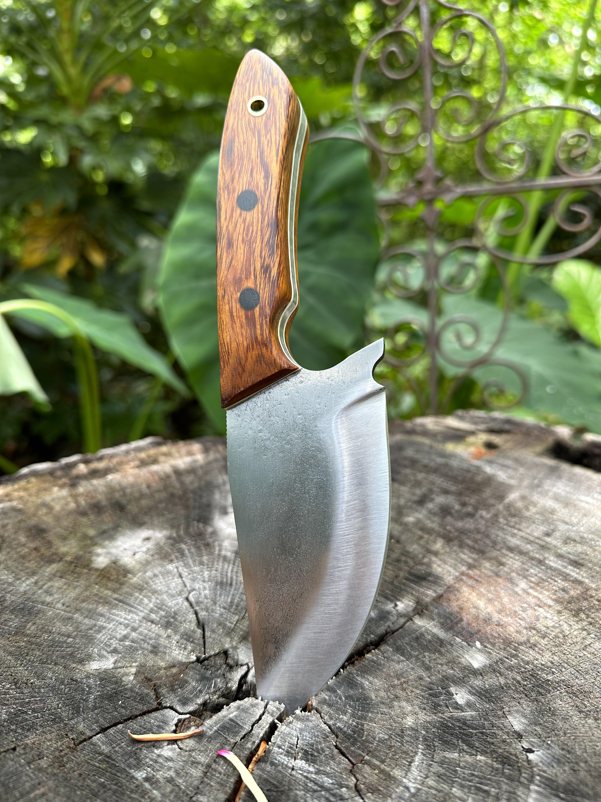 Norris Knives - The Baby Shark