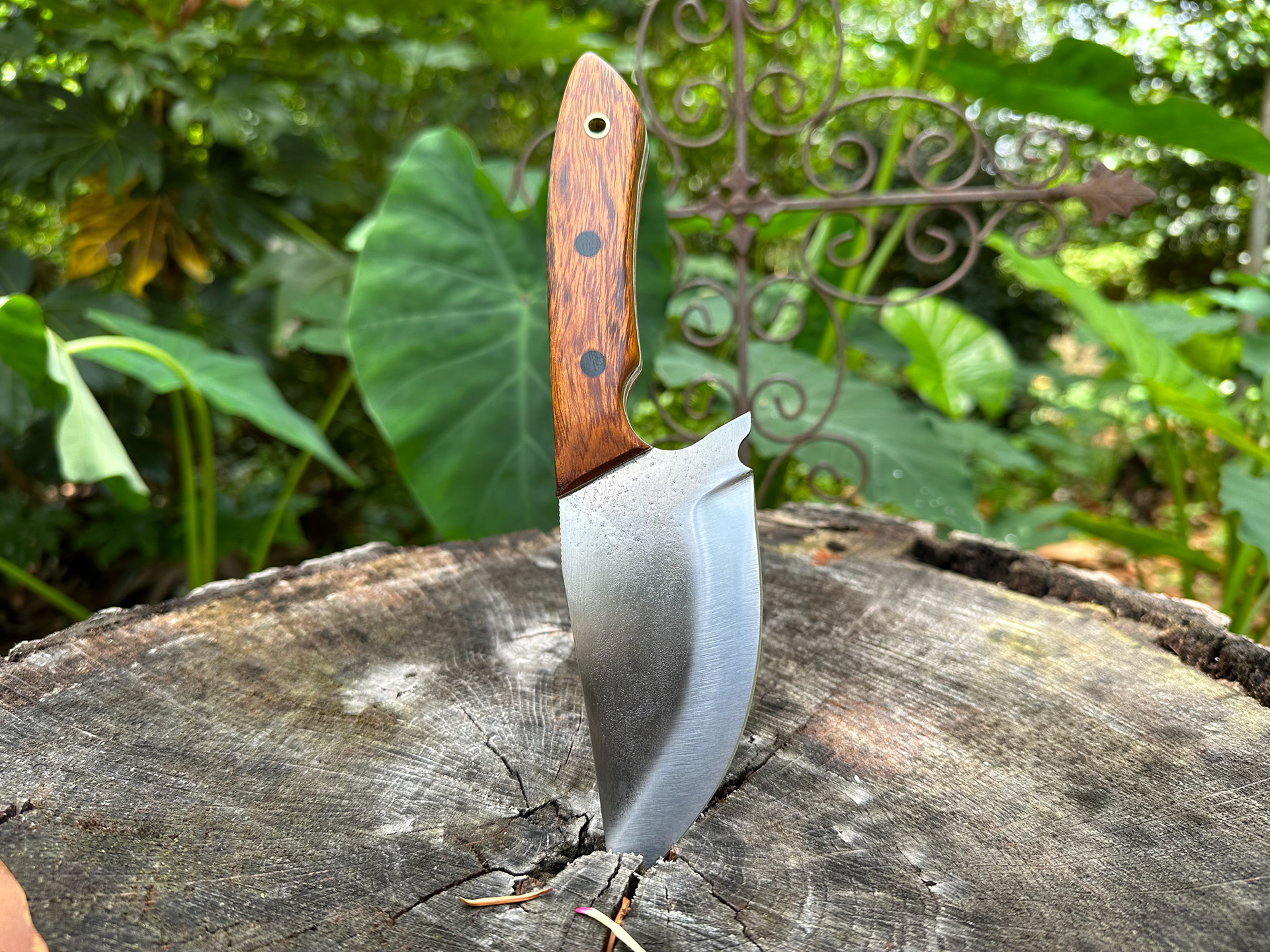 Norris Knives - The Baby Shark