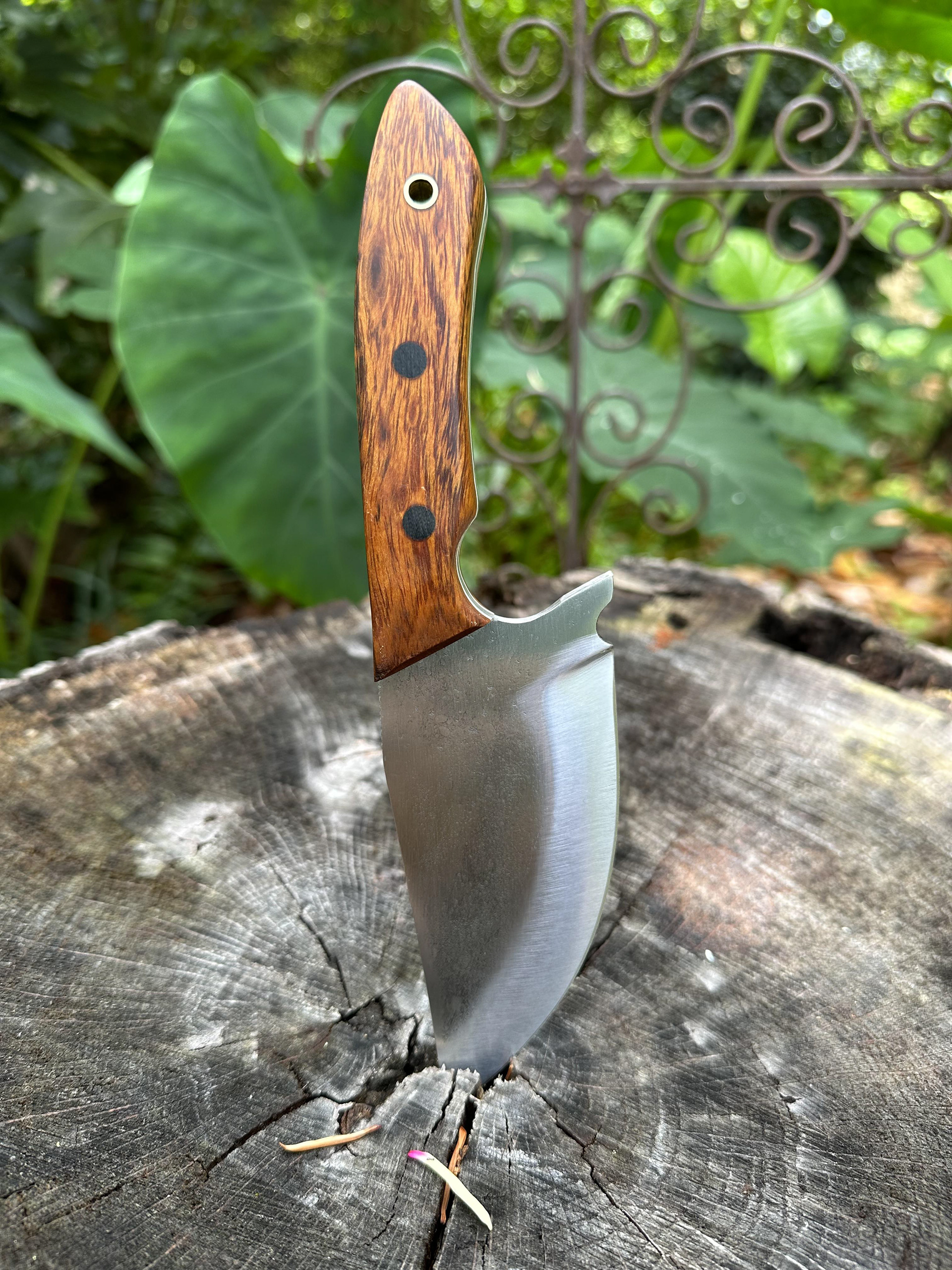 Norris Knives - The Baby Shark
