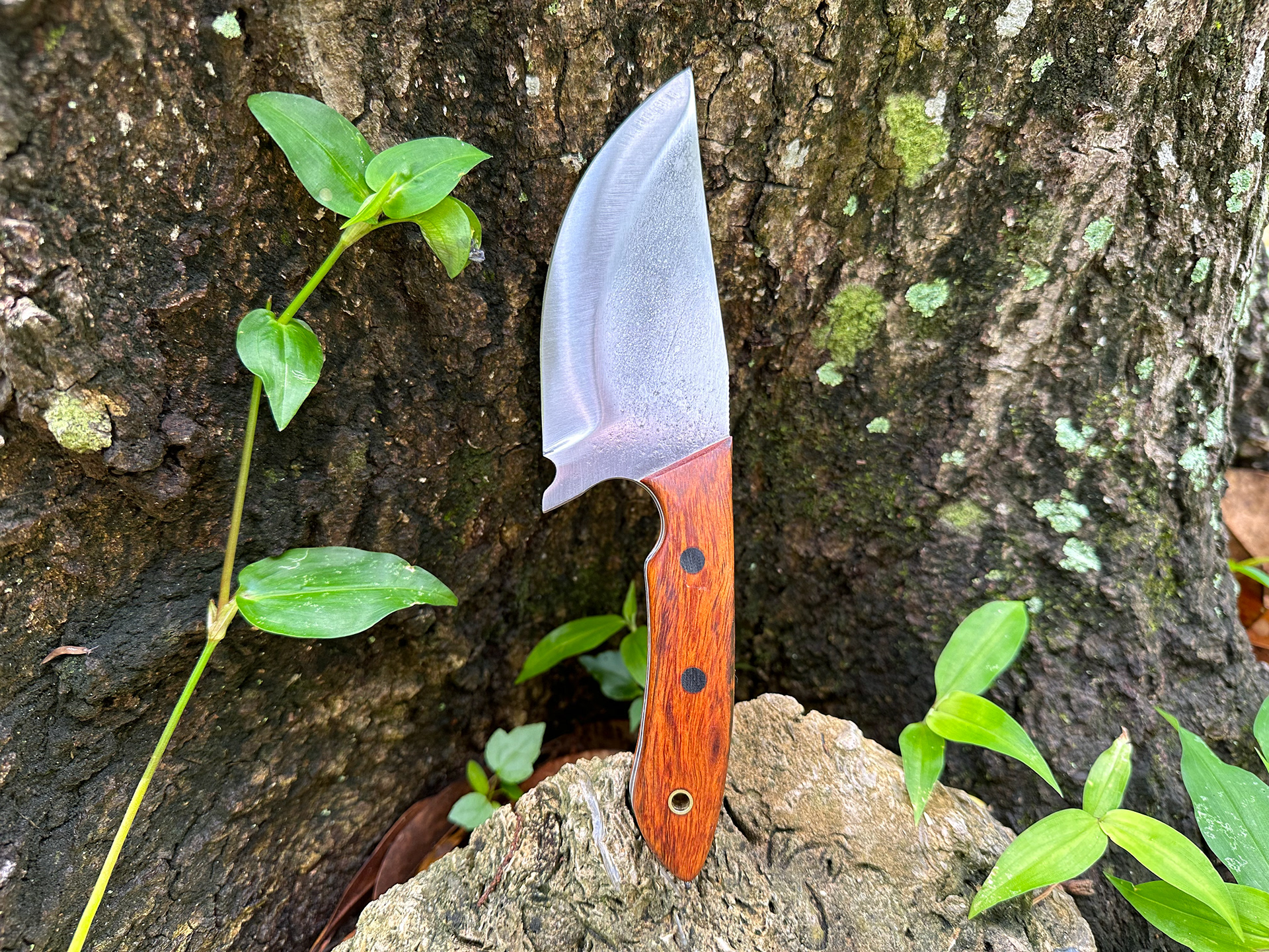Norris Knives - The Baby Shark