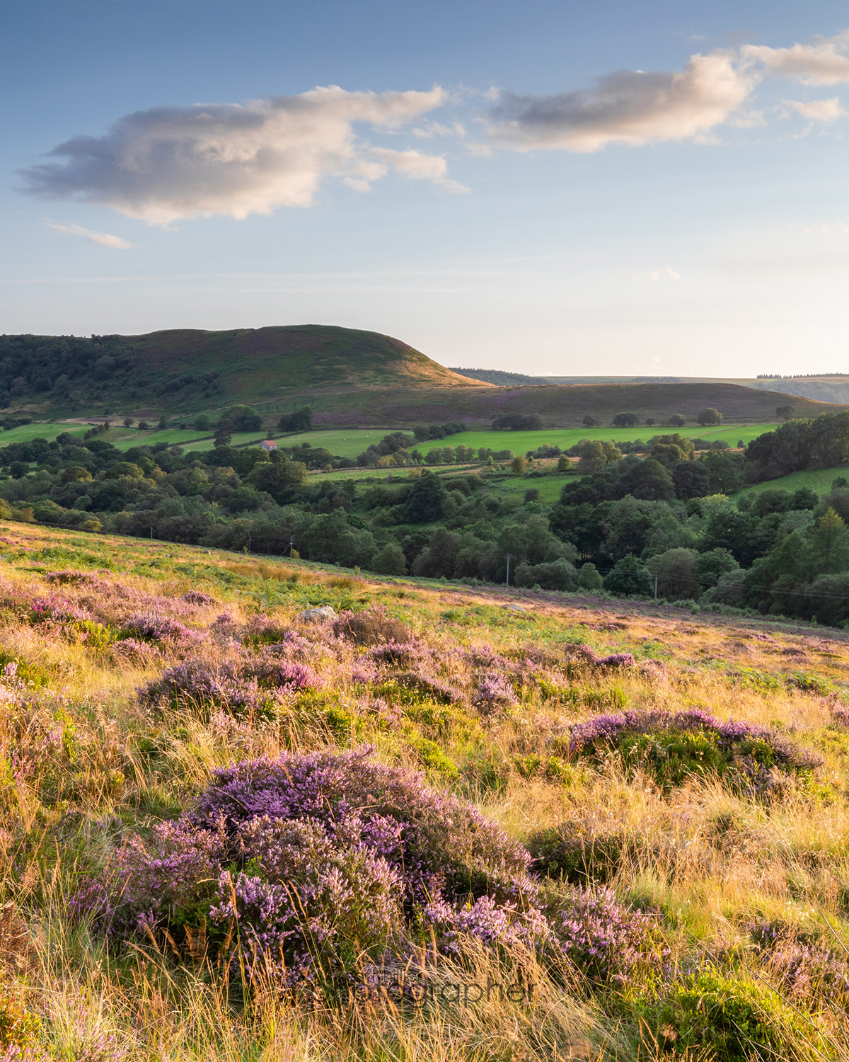 Matt Hillier Photographer - North York Moors