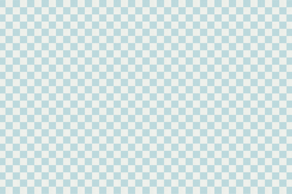 Ceren Burcu Turkan | Branding & Packaging Designer - PIZZA BORDI