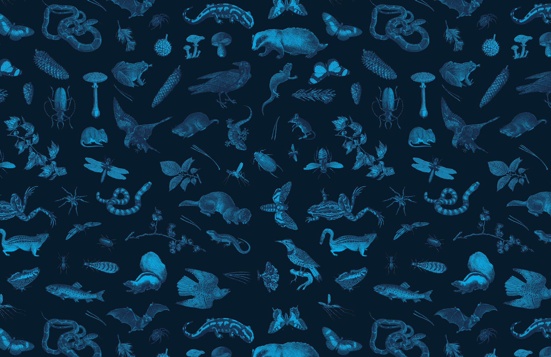 Ashley Turk | Design, Marketing and Brand Strategy - Storytelling // An ...