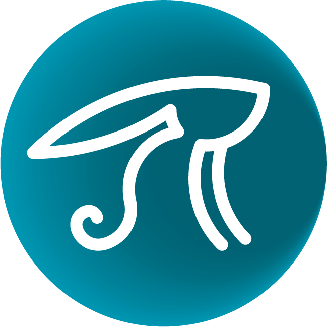 June Rabbit Design - Diagrams & Infographics