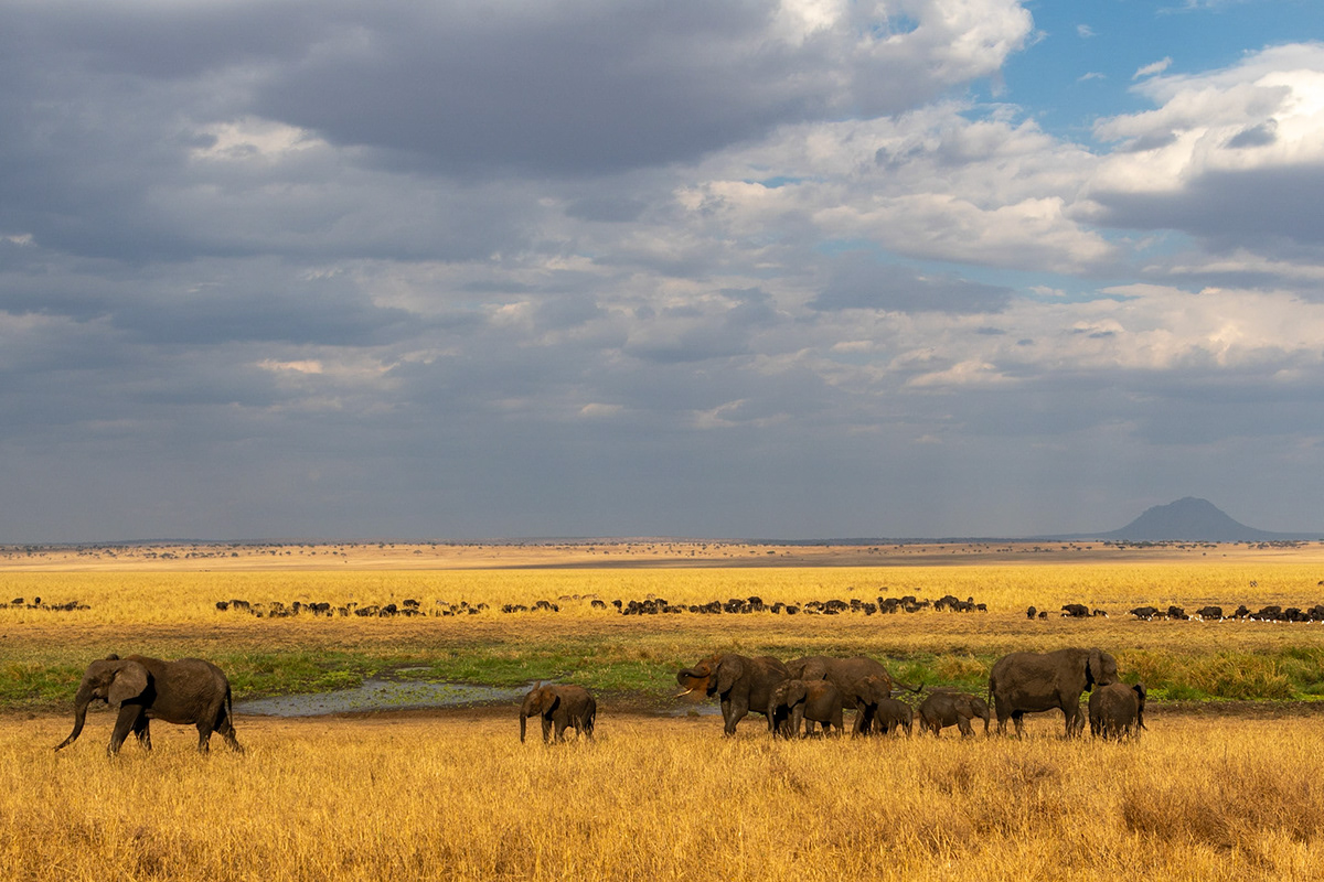 Ian Hazlewood - Photos From My Travels - East Africa - Landscapes