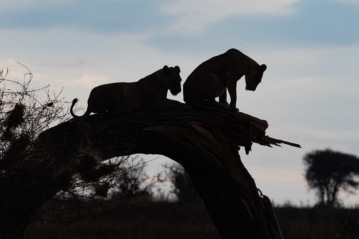Ian Hazlewood - Photos From My Travels - East Africa - Landscapes