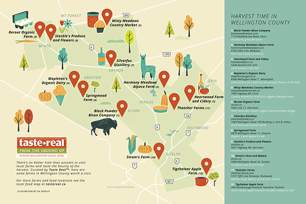 Cai Sepulis | illustration + design - Taste Real Farm Map