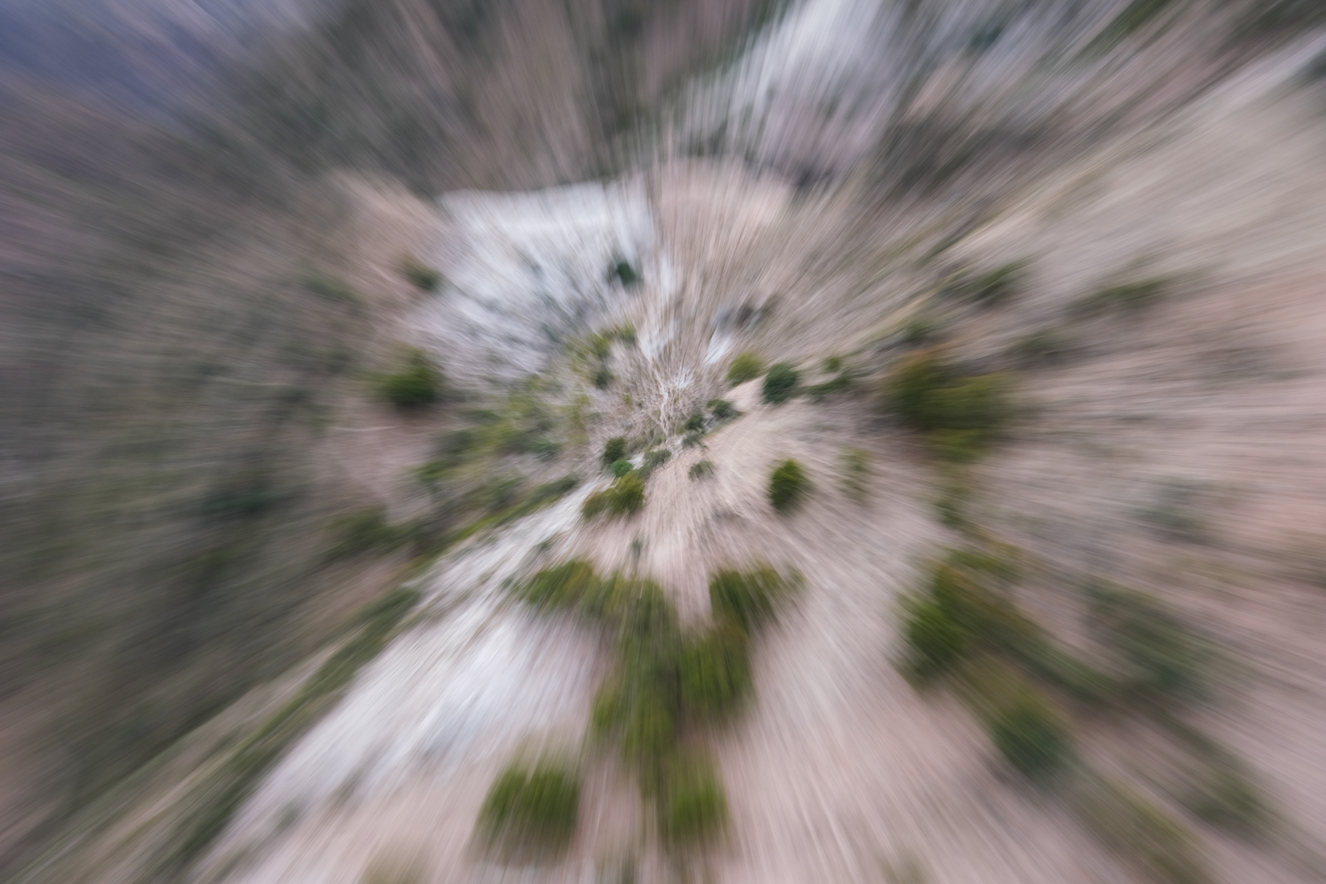 alan jinich - Chihuahua