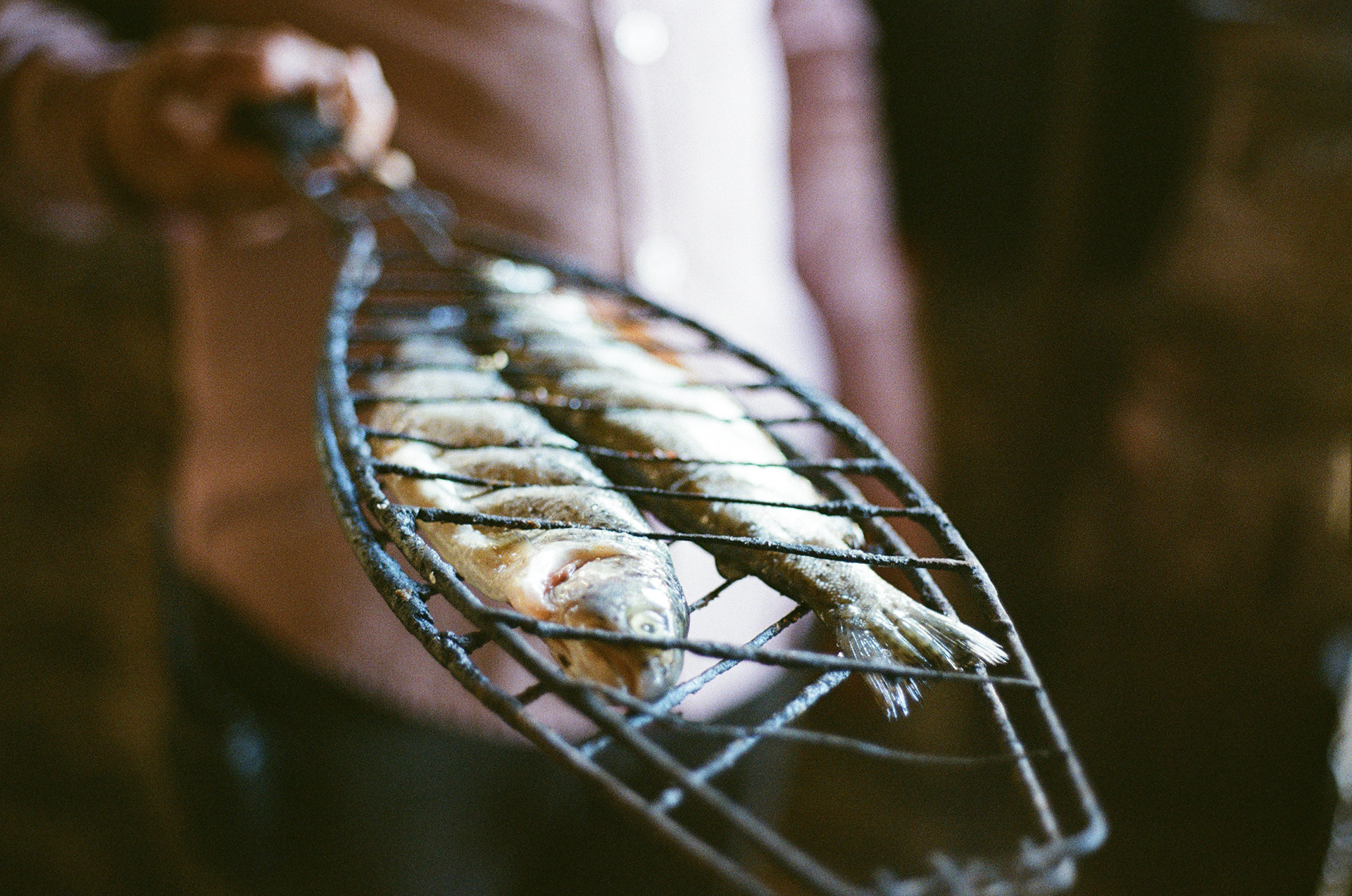 alan jinich - Chihuahua