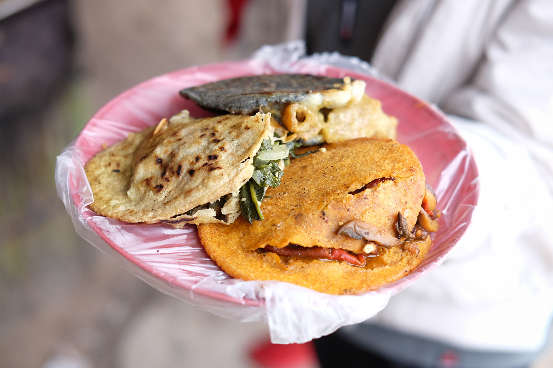 alan jinich - Chihuahua