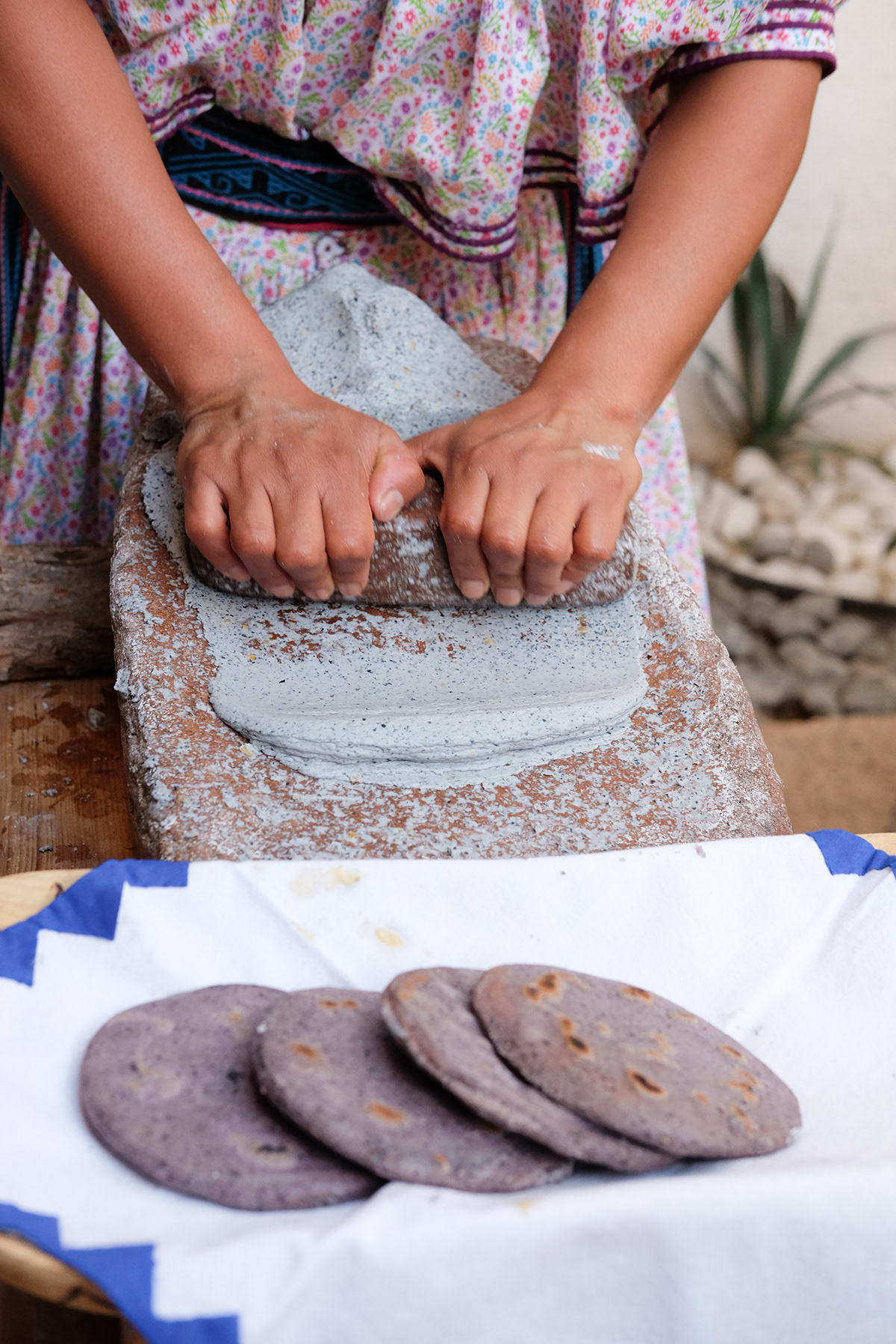 alan jinich - Chihuahua