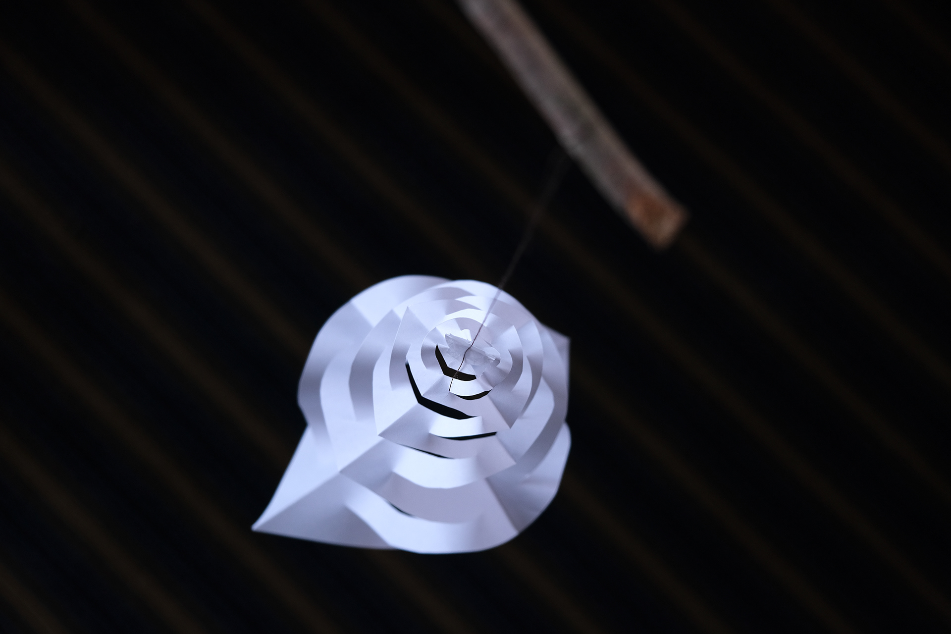 alan jinich - Bounce