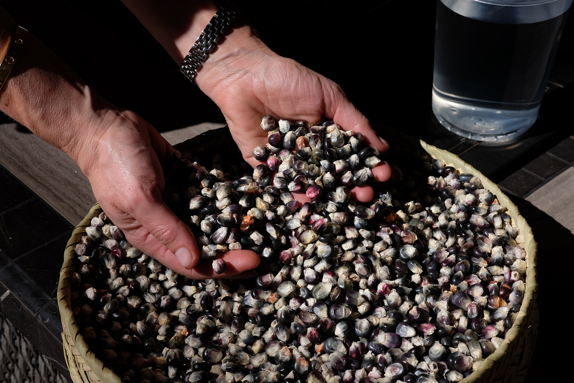 alan jinich - Chihuahua