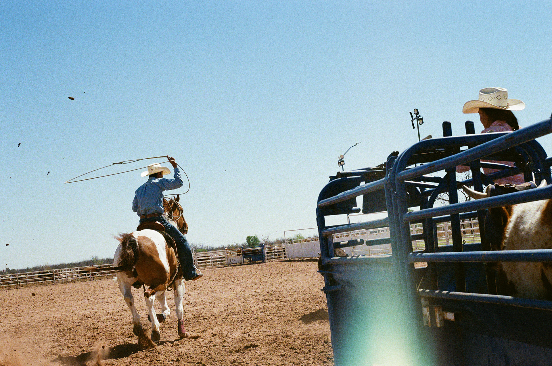 alan jinich - Chihuahua