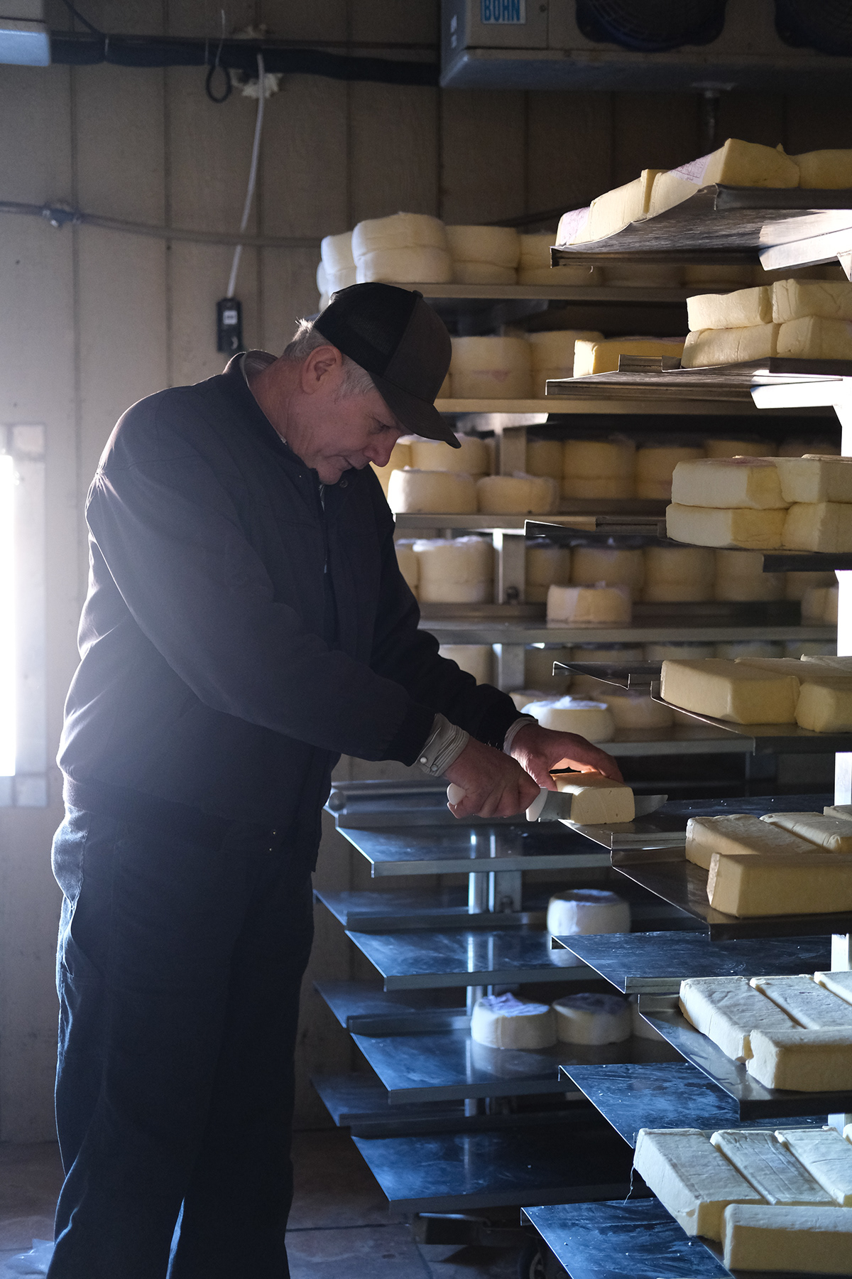 alan jinich - La Frontera – Season 2