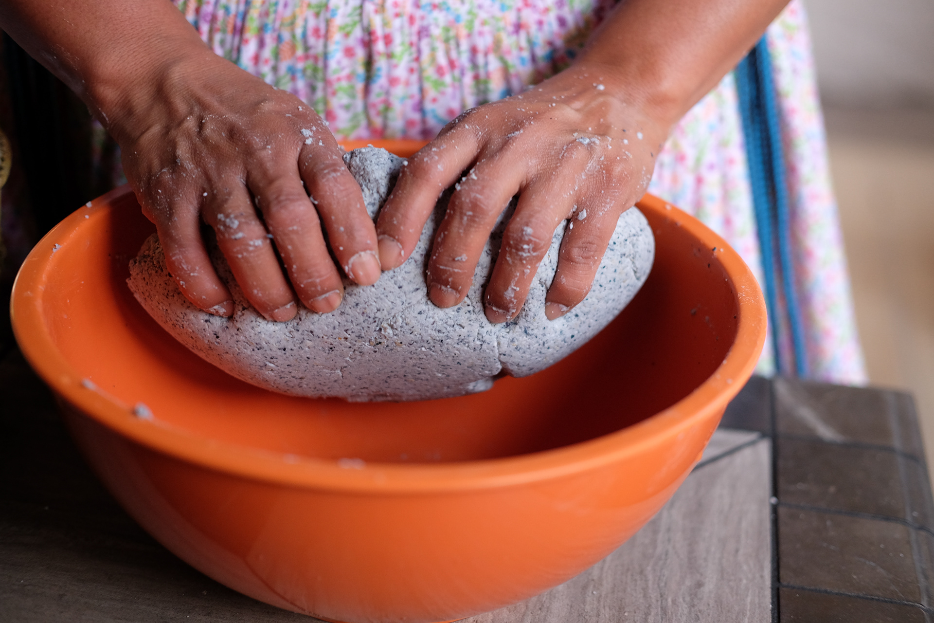 alan jinich - Chihuahua