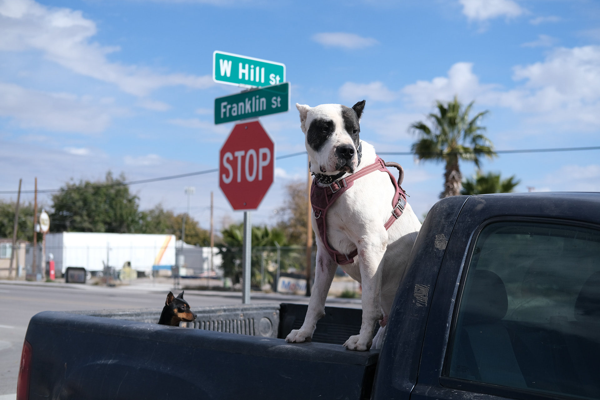 alan jinich - La Frontera – Season 2