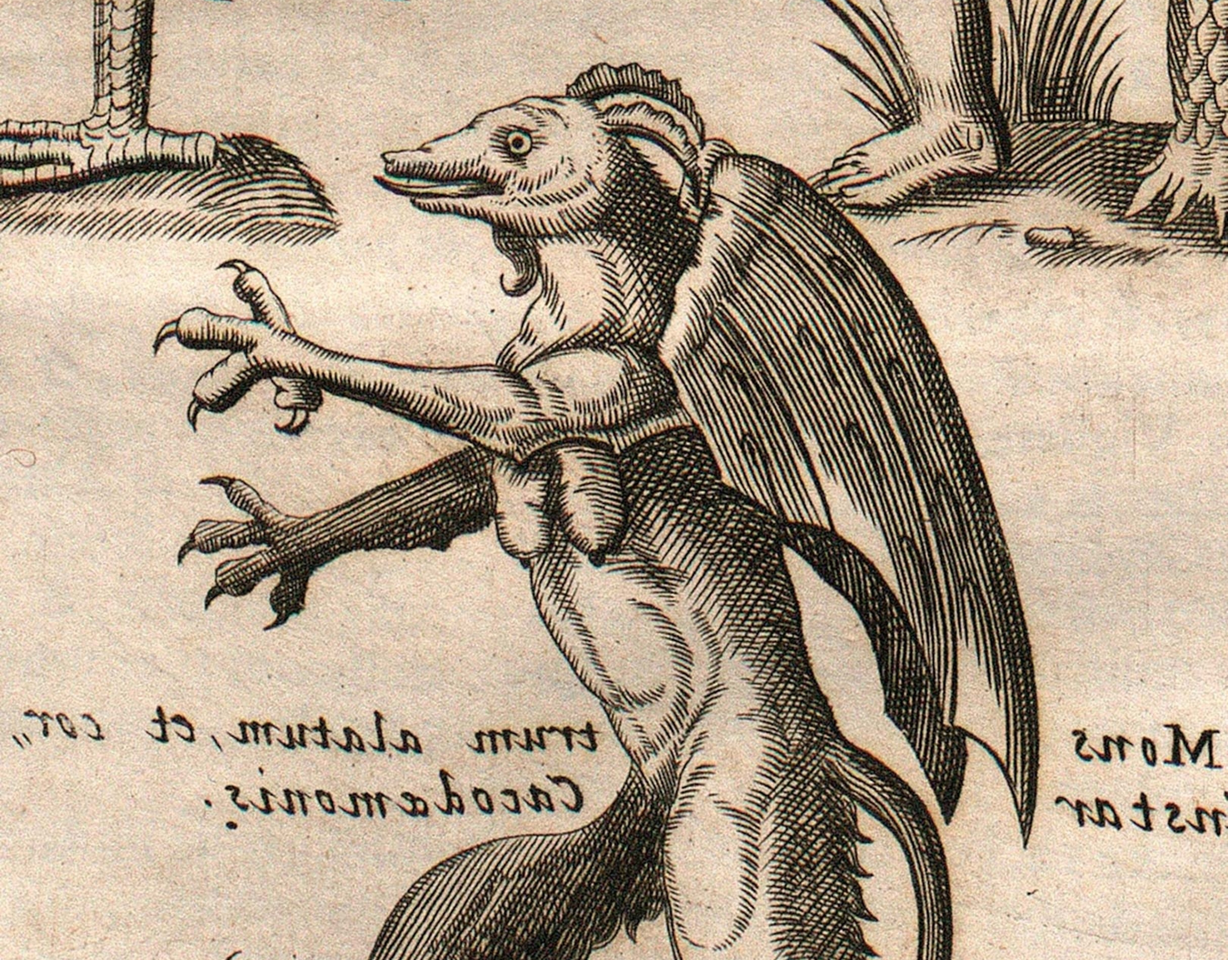 The Jersey Devil - Facts of the Case