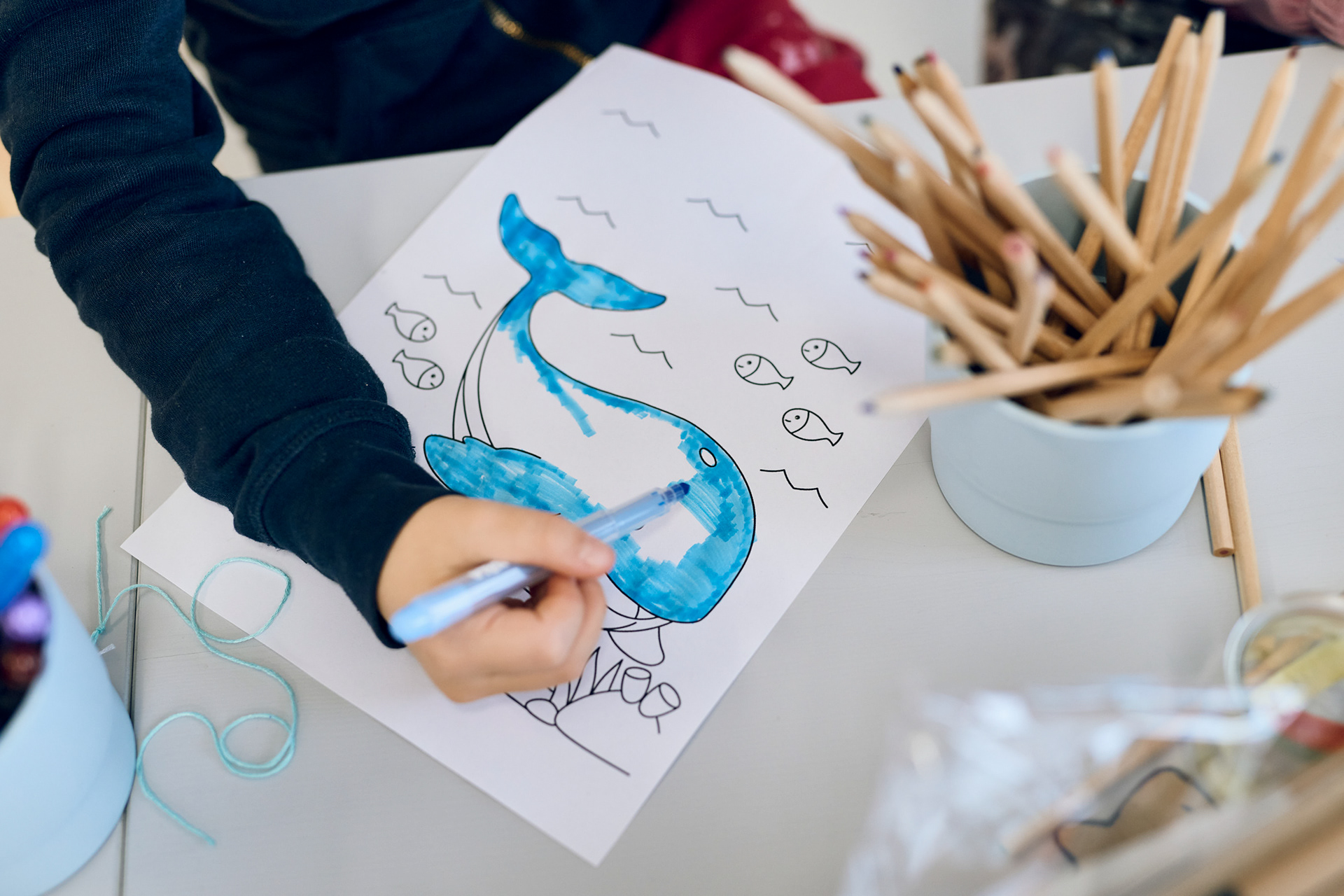 SINJI KIT - GALERIJA