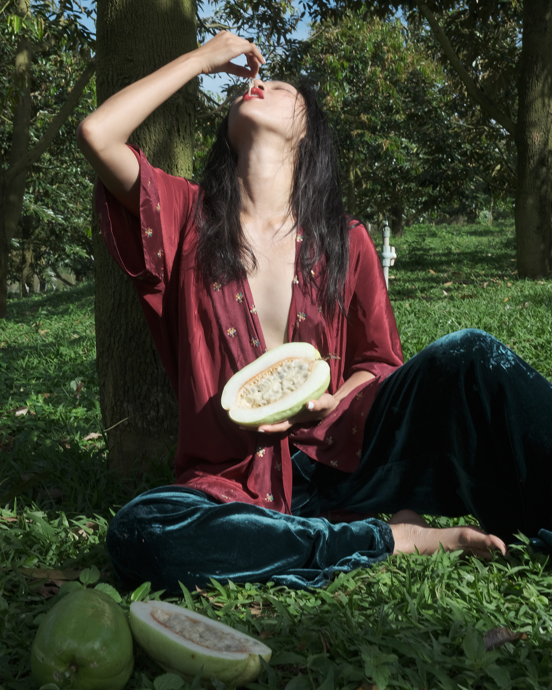 Nguyen Anh Hao - Dòng chảy Lam - Li Lam