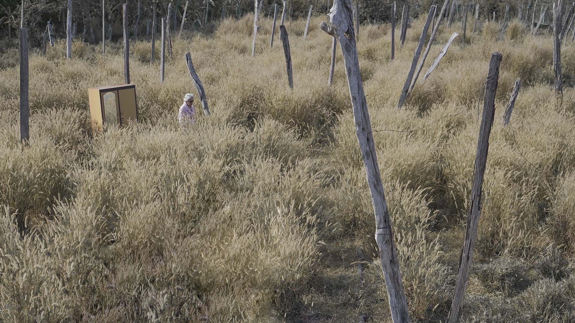 Nguyen Anh Hao - DON’T JUST FCKING LEAVE ME ALONE project