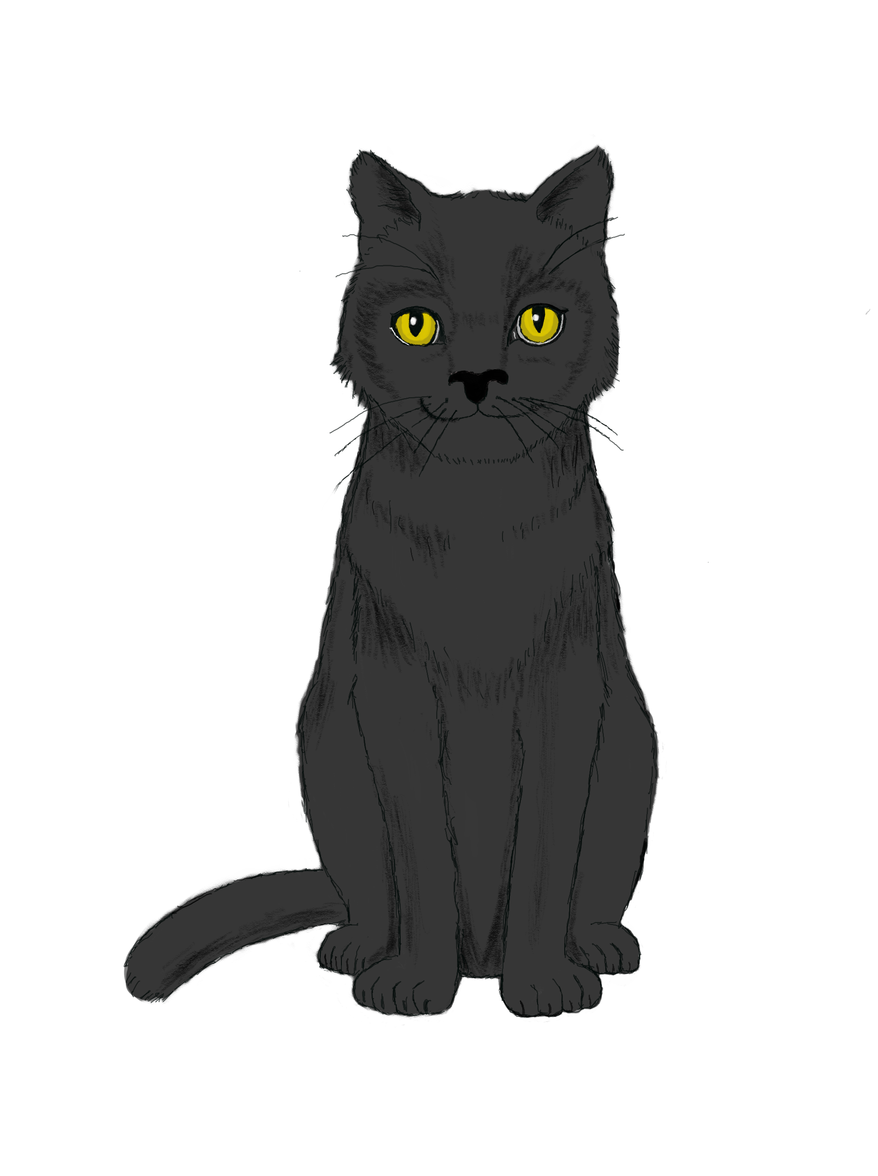 Jay Reyes - Illustrations