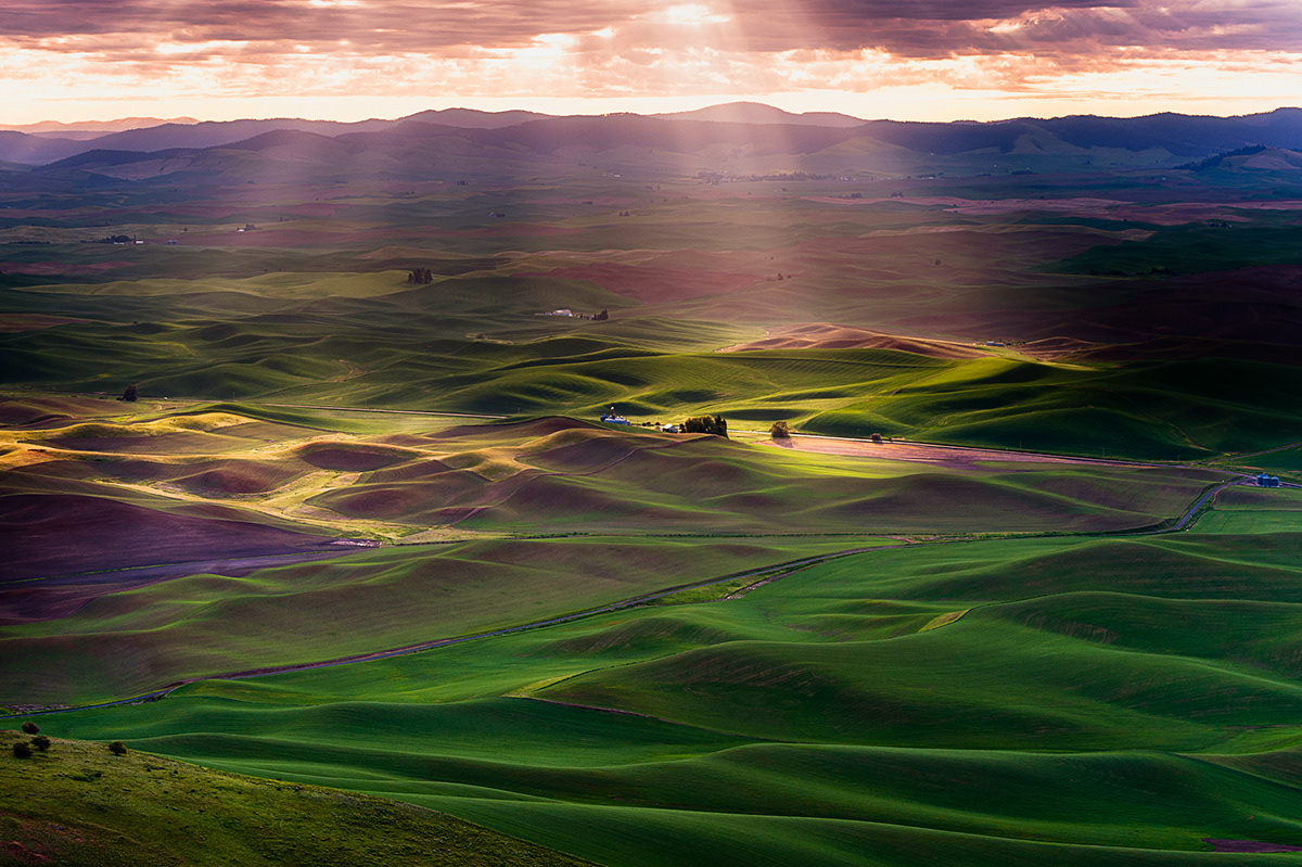 Edmund Lowe Photography - Pacific Northwest