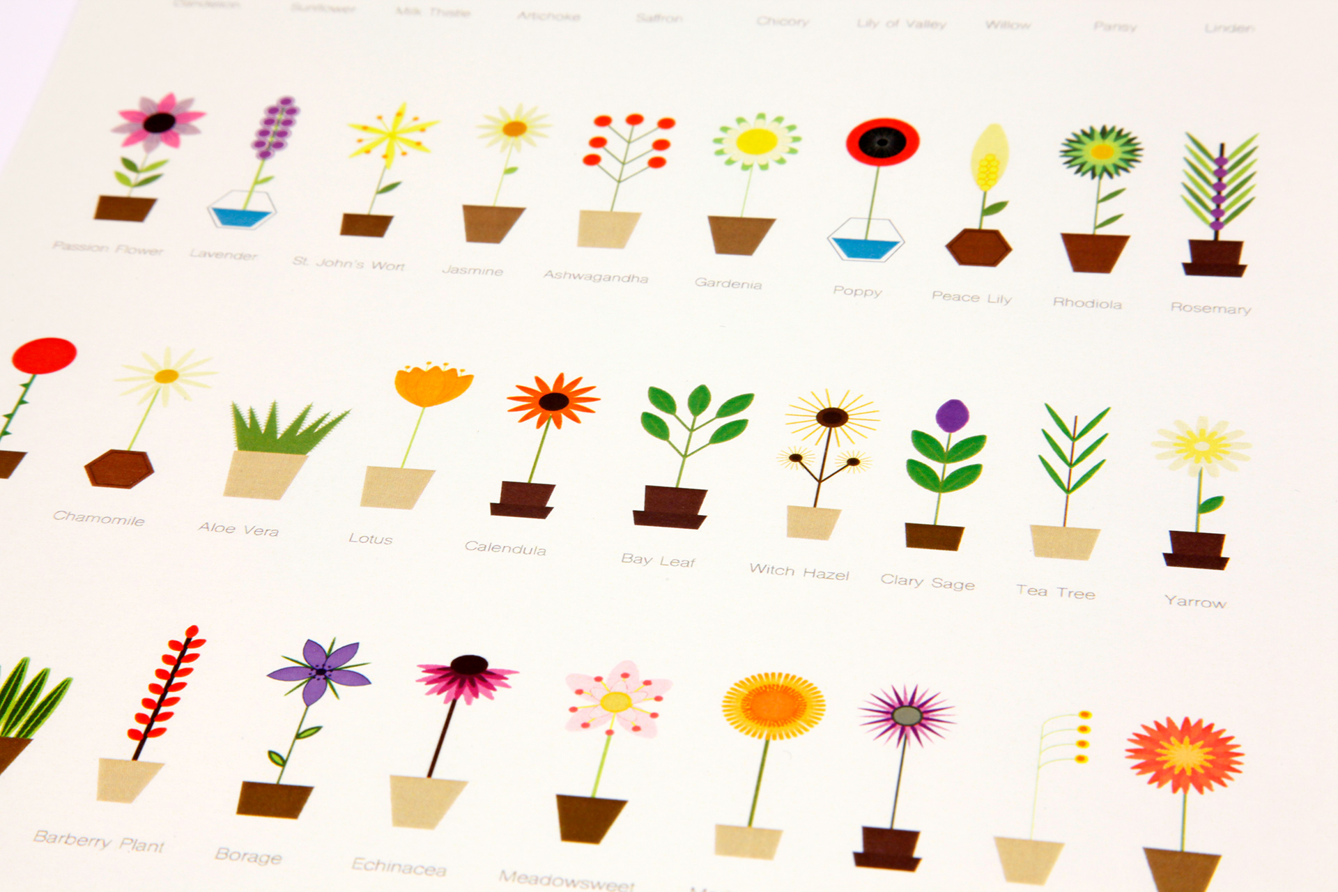 Laura Jane Grainger - The Botanical Pharmacy- Longlisted for IIB Awards