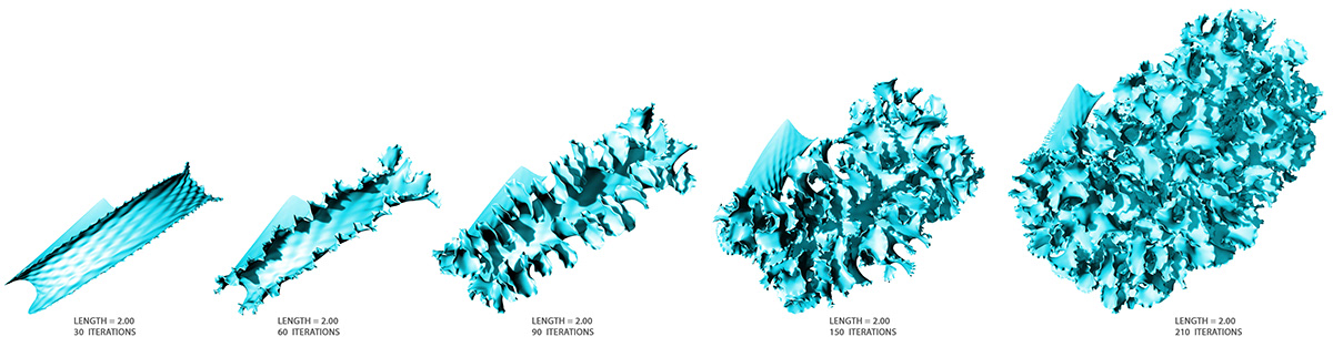 F[0]RMA - differential growth