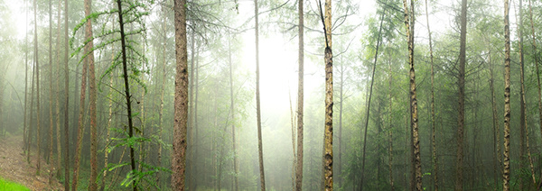 Tom Claessens - photographer