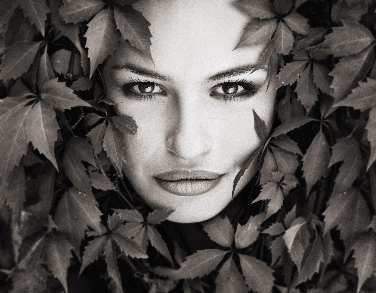 Joanna Kustra - Faces