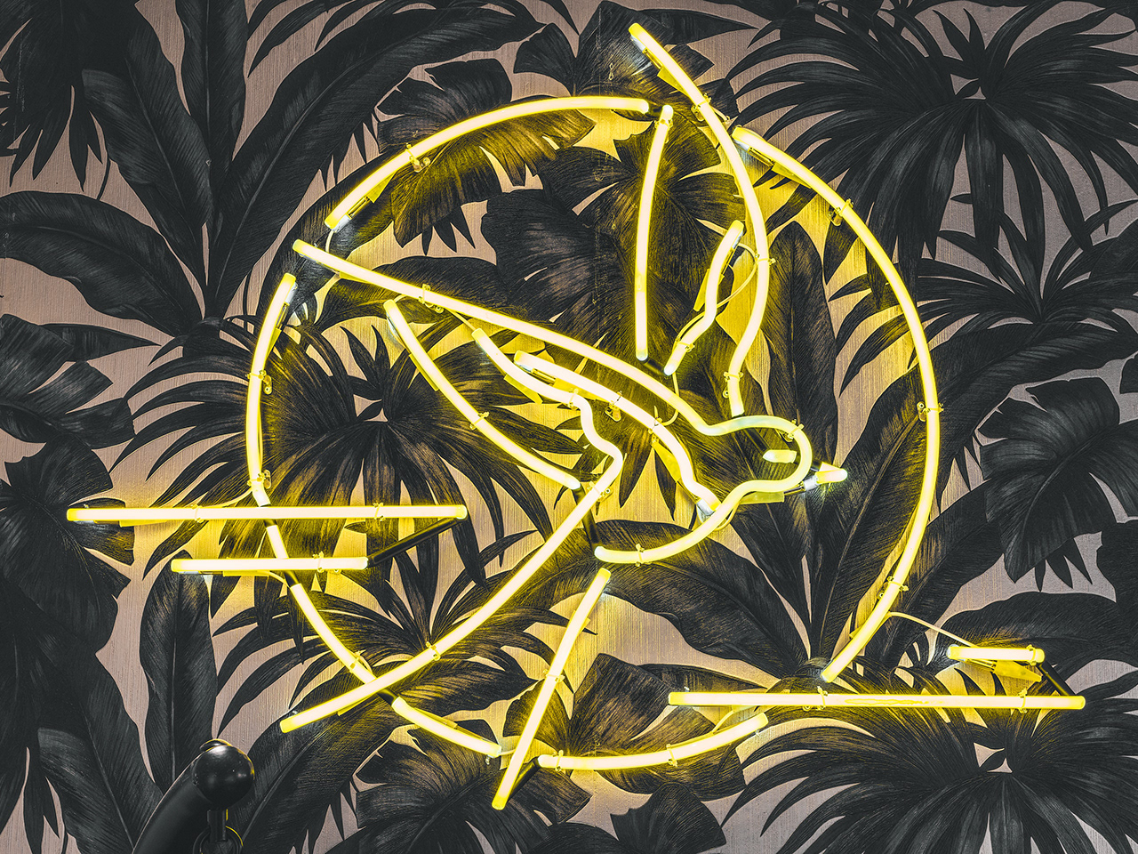 Partee — Graphic Design Cooperative — Cooperativa de Disseny Gràfic — Vic