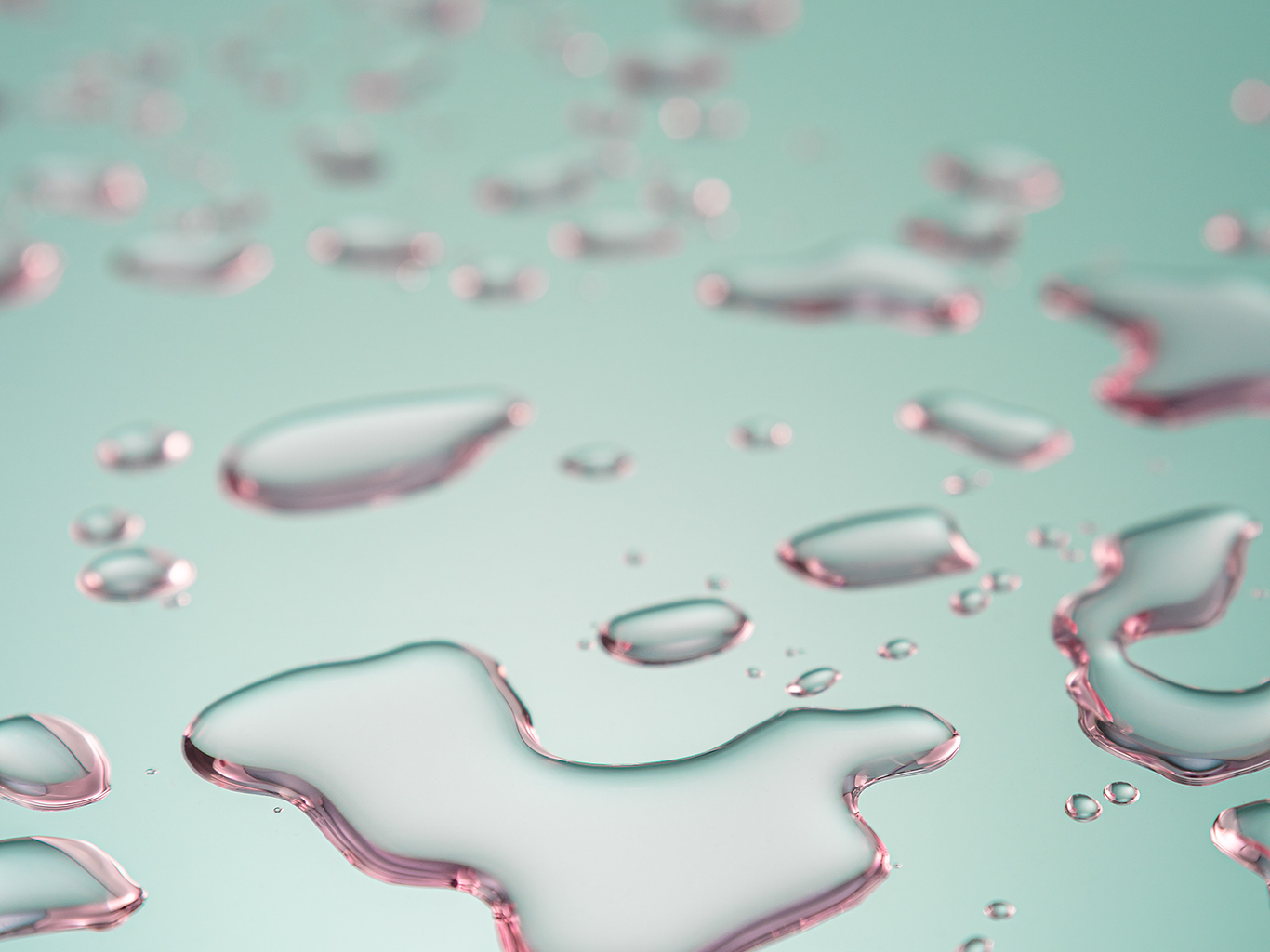 Partee — Graphic Design Cooperative — Cooperativa de Disseny Gràfic — Vic