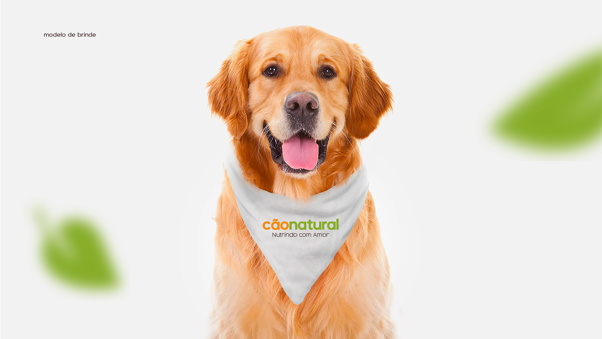 Bianka Braun - Identidade Visual . Cão Natural