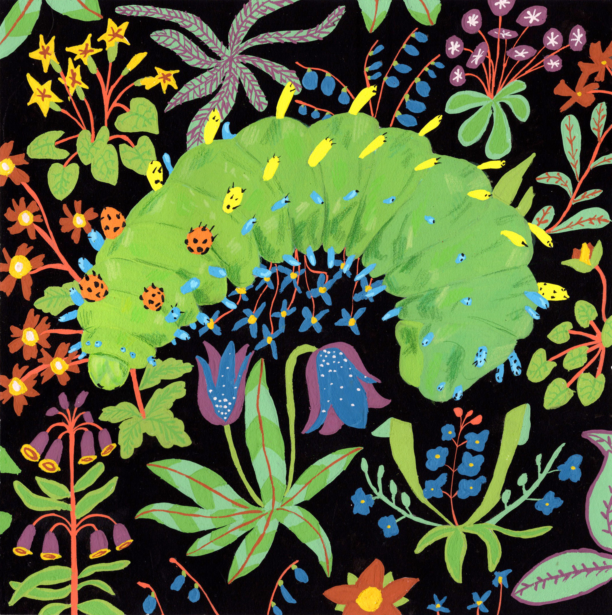 Julia Feingold - Print / Sketch